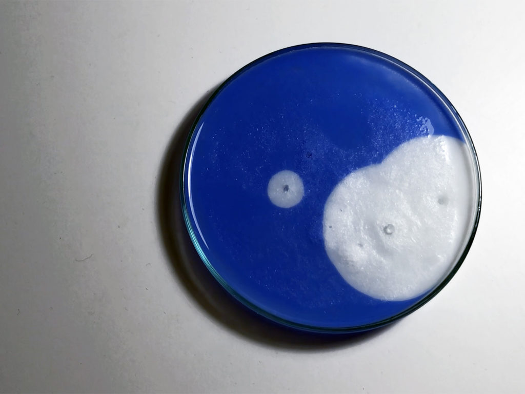 16 – materiability