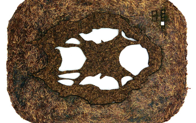 Lignin – materiability